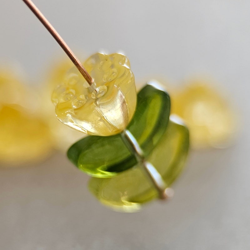 Lotus Pods - Etsy