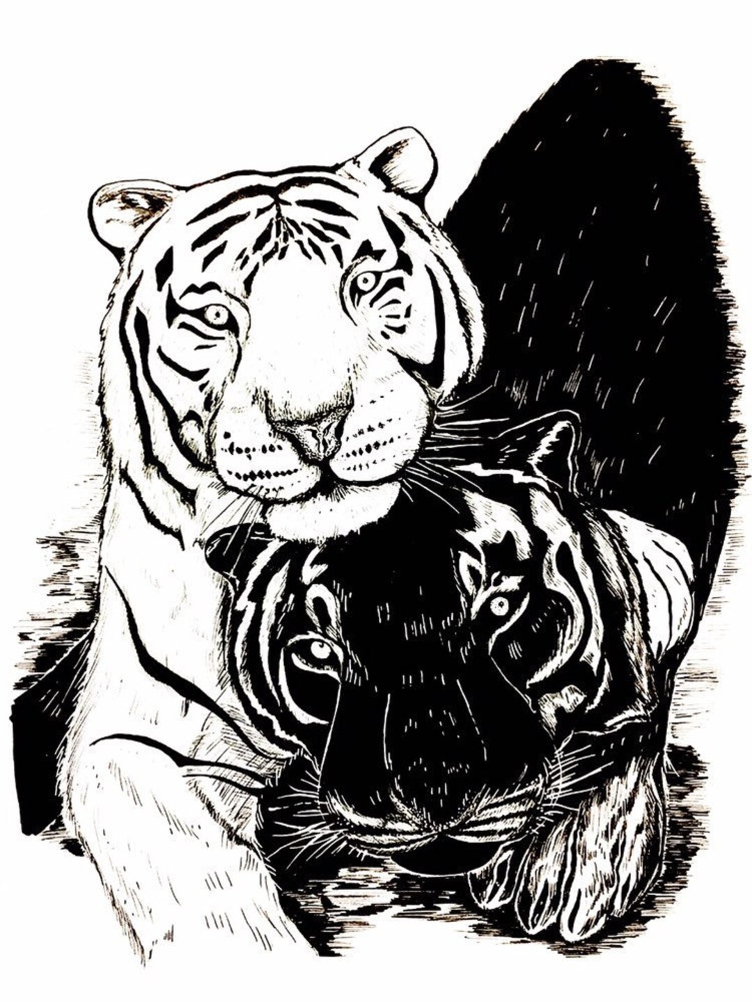 Art Tiger Drawing for Print Big Cat Tiger Printable Jungle Cats ...