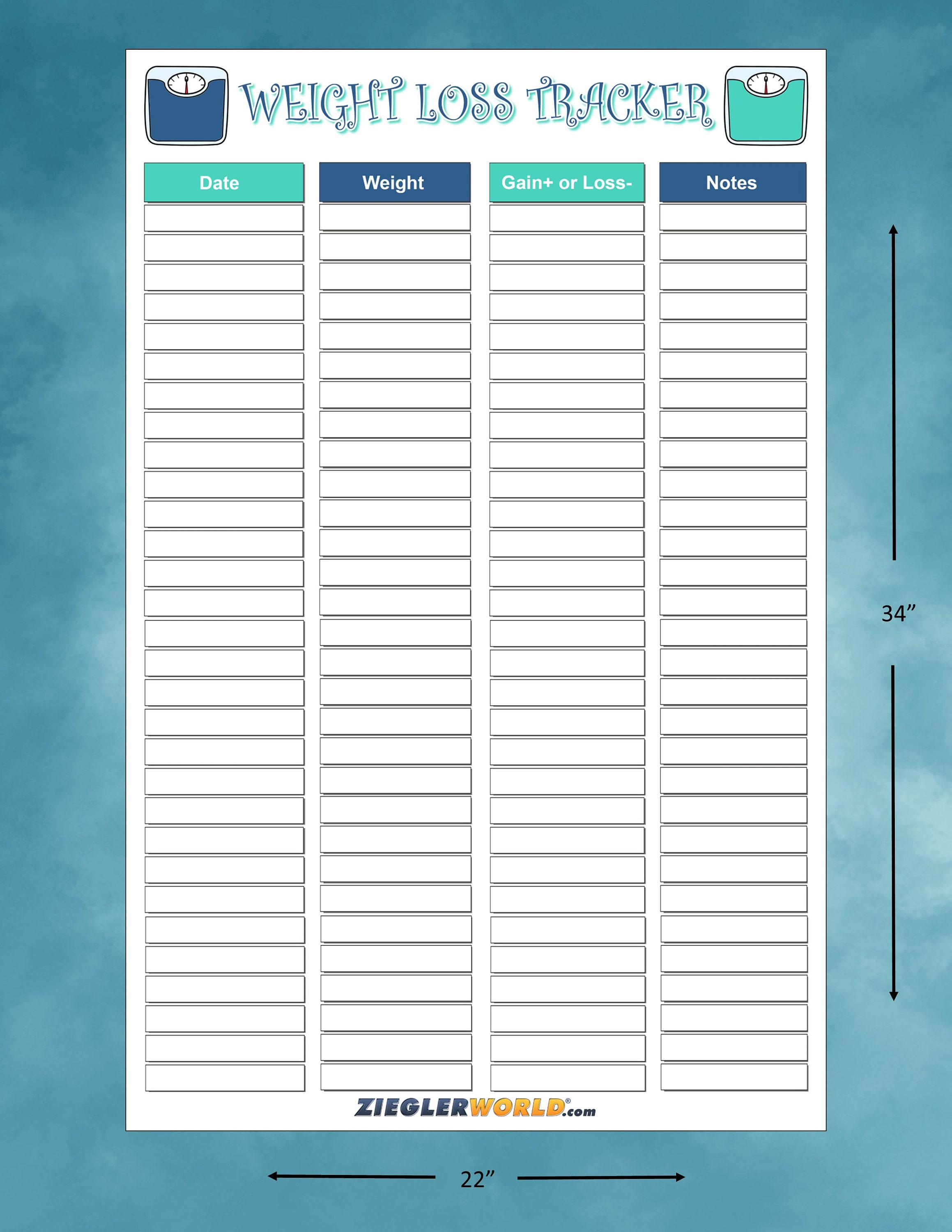 Large Reusable Weight Loss / Gain Tracker Chart - Track Your Progress ...