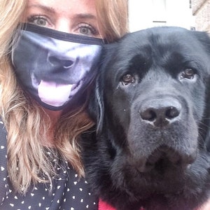 Dog Face Black Lab Real Face Mask - Etsy