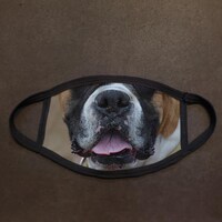 Boxer Fabric Face Mask - Etsy
