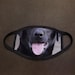 Dog Face Black Lab Real Face Mask - Etsy