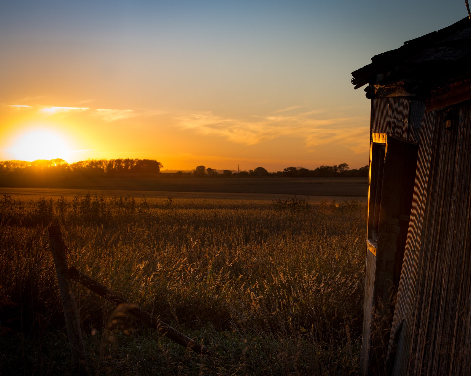 Remember When-rustic Country Barn at Sunset. Field With Crops and ...