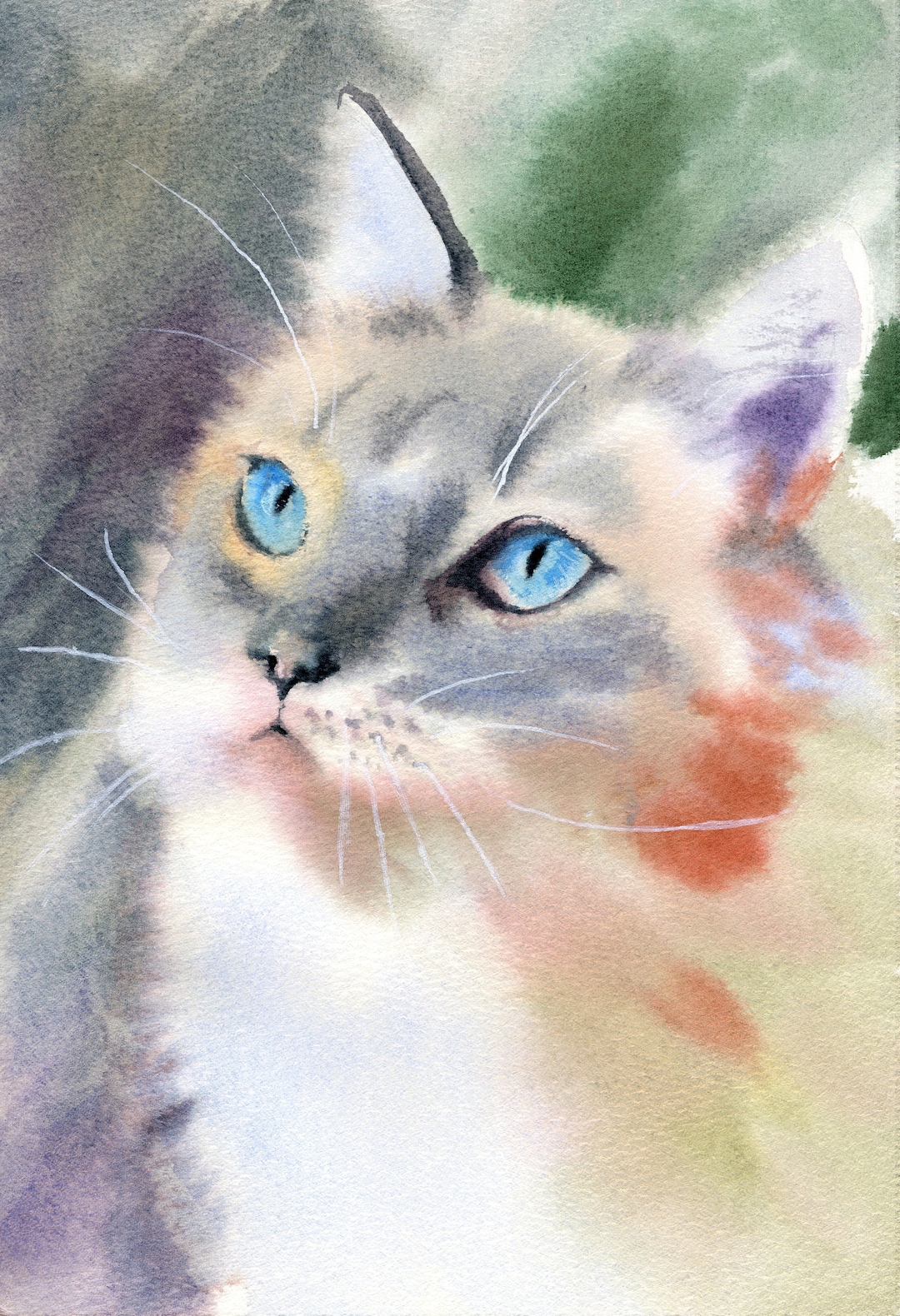 Cat's Portrait Watercolor Painting on Paper 10x7 In. - Etsy