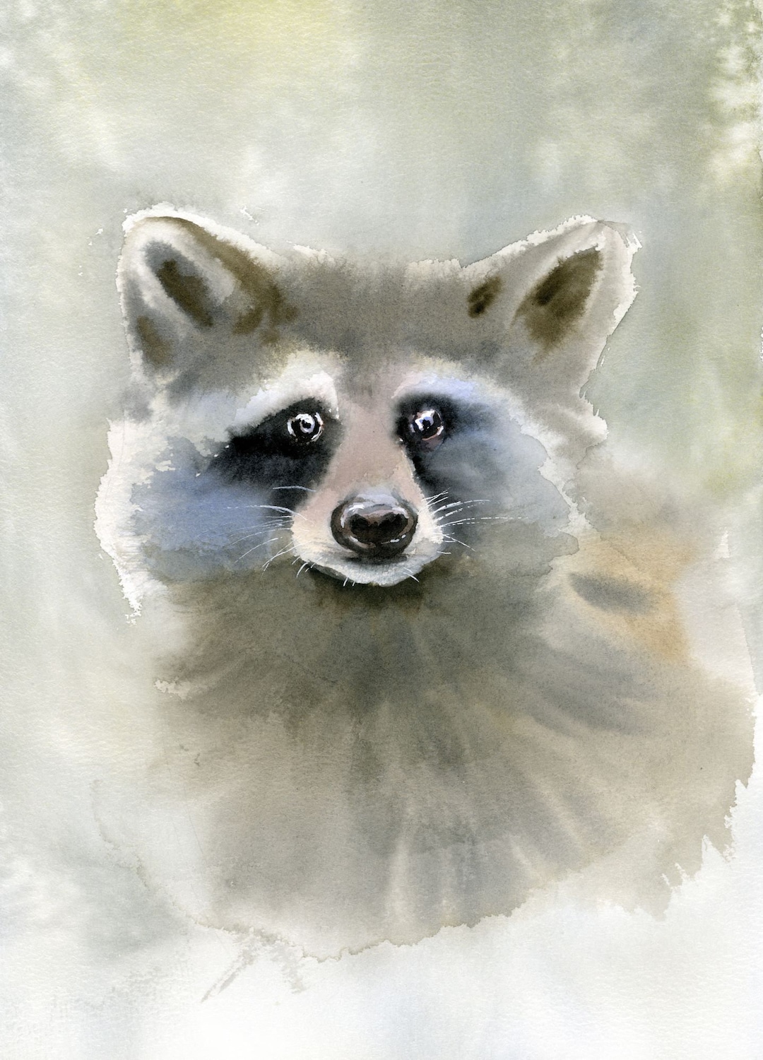 Raccoon Portrait Watercolor Painting on Paper 12x8 In. - Etsy