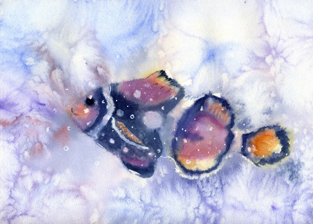 Clown Fish Watercolor Painting Wall Art 9x12 - Etsy