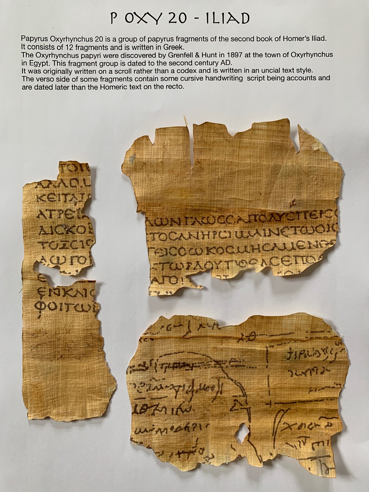 Homer's Iliad Papyrus Oxy 20 Recreation - Etsy