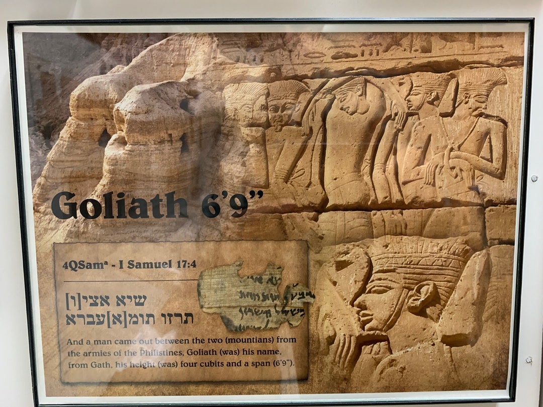 4qsam(a)17:4 Goliath Text Recreation - Etsy