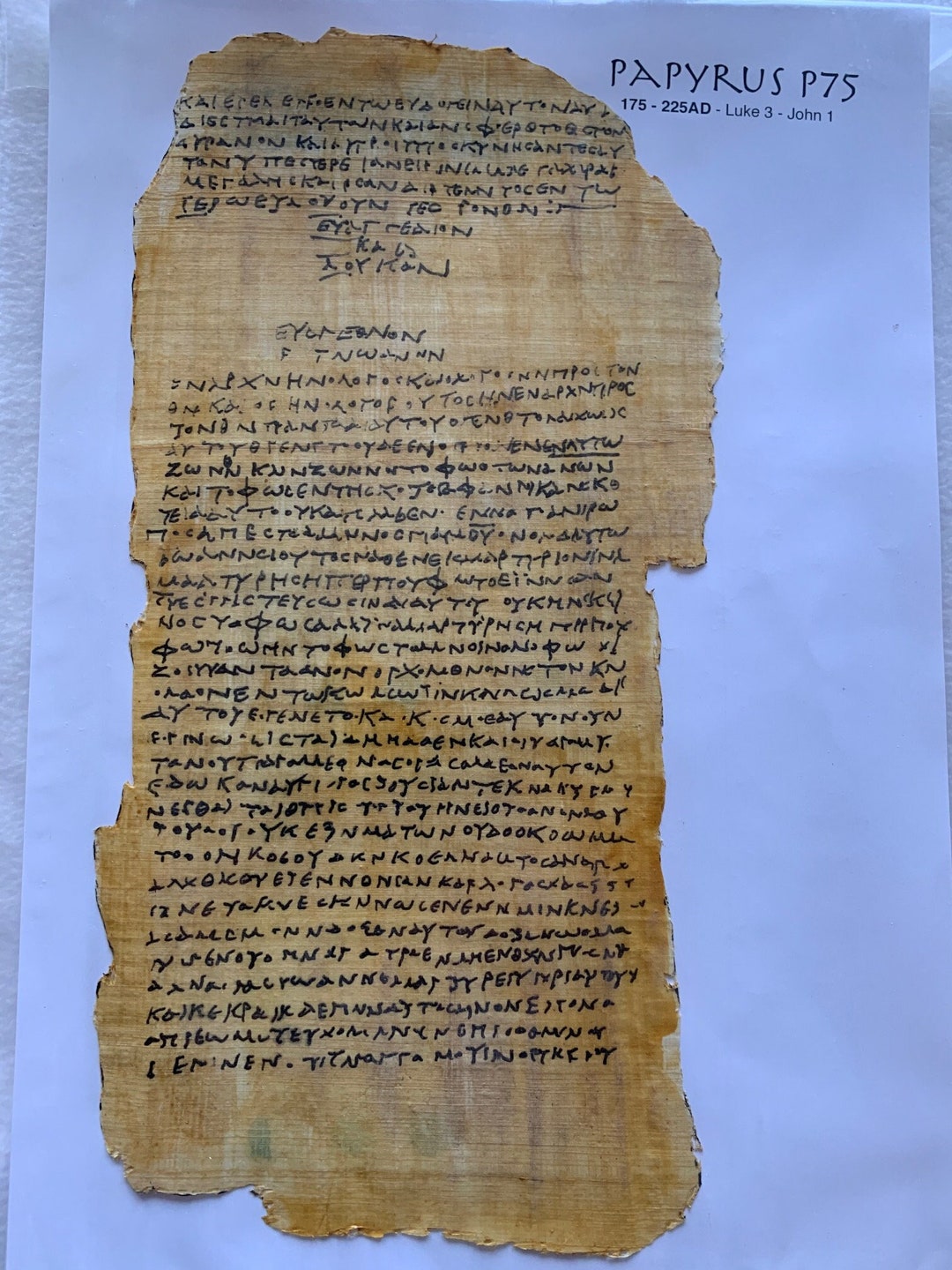 P75 Papyrus Recreation - Etsy