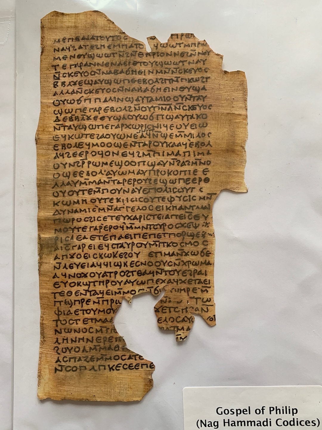 Gospel of Philip Recreation - Etsy