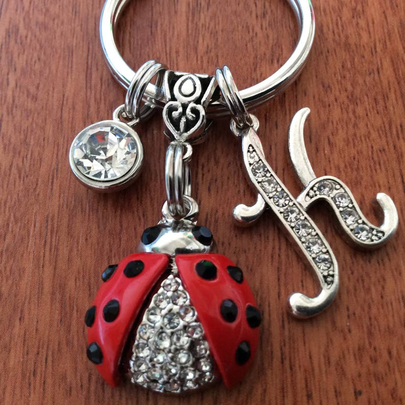 Lady Bug Gift Ladybug Keychain Ladybug Initial Gifts - Etsy