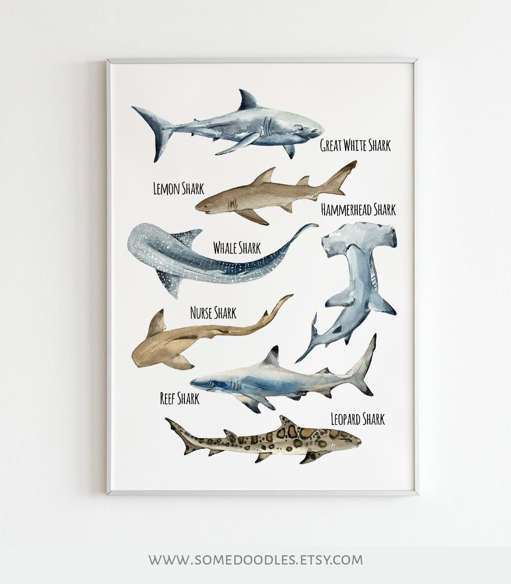 Sharks Wall Art Printable Digital Files Ocean and Beach Room - Etsy