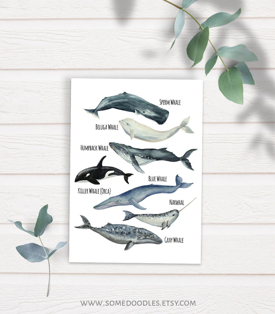 Whales Wall Art Printable Digital Files Ocean and Beach Room - Etsy