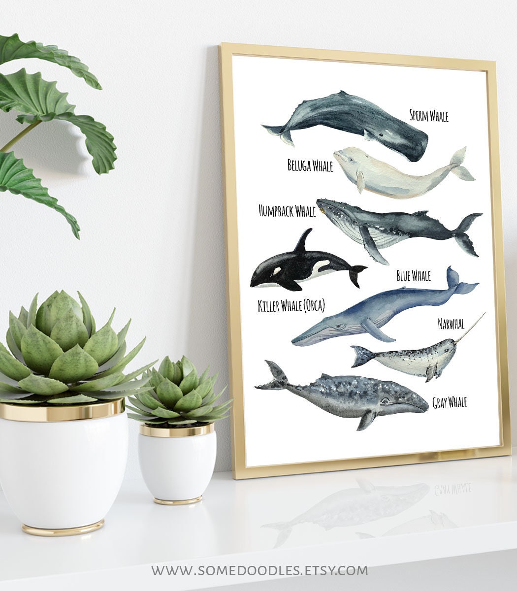 Whales Wall Art Printable Digital Files Ocean and Beach Room - Etsy