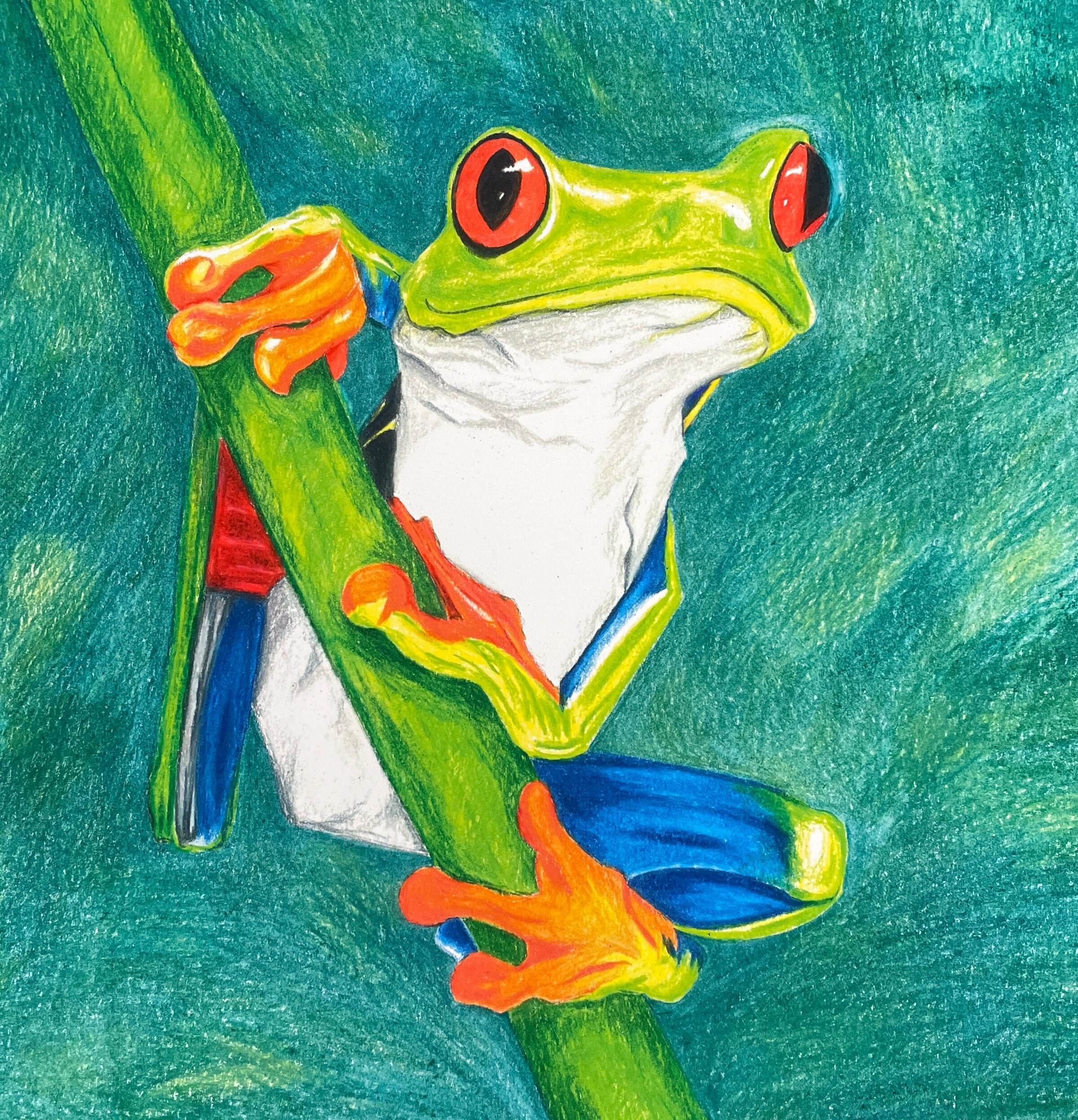 Tree Frog - Etsy