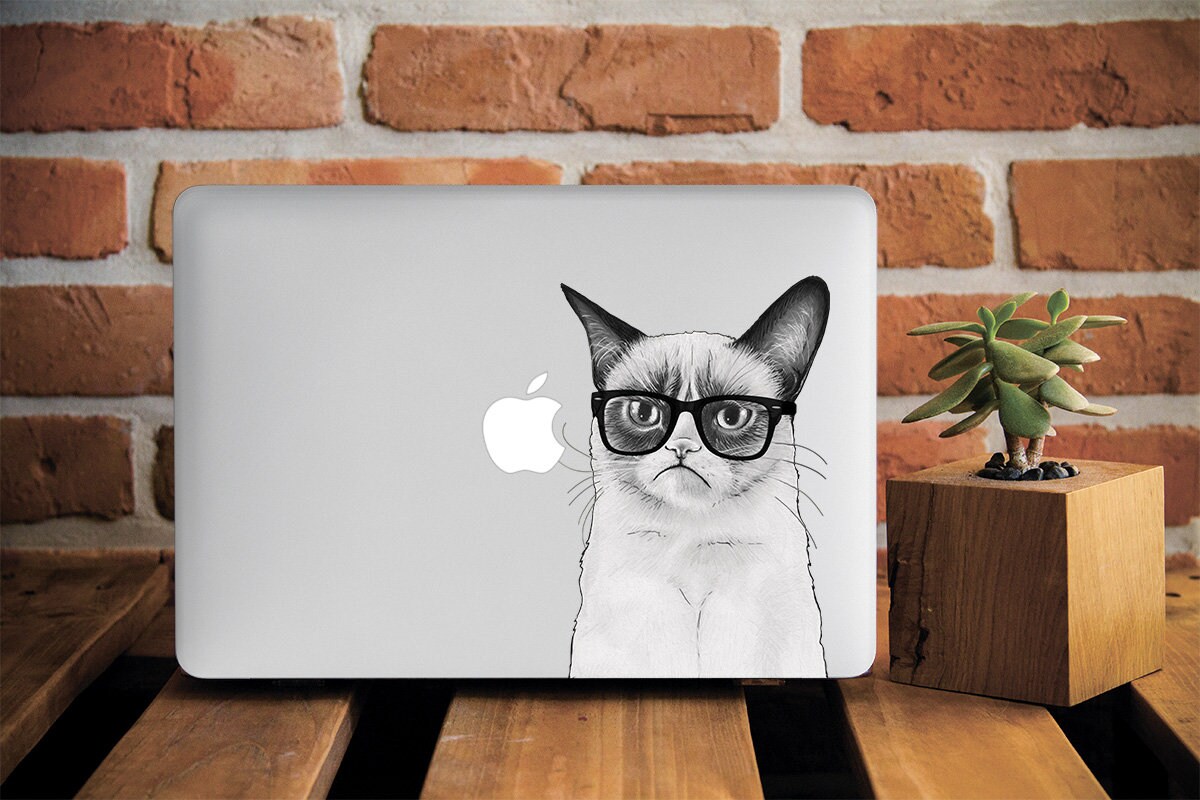Grumpy Cat MacBook Pro 13 Case Clear MacBook Air 13 Cover Cat | Etsy
