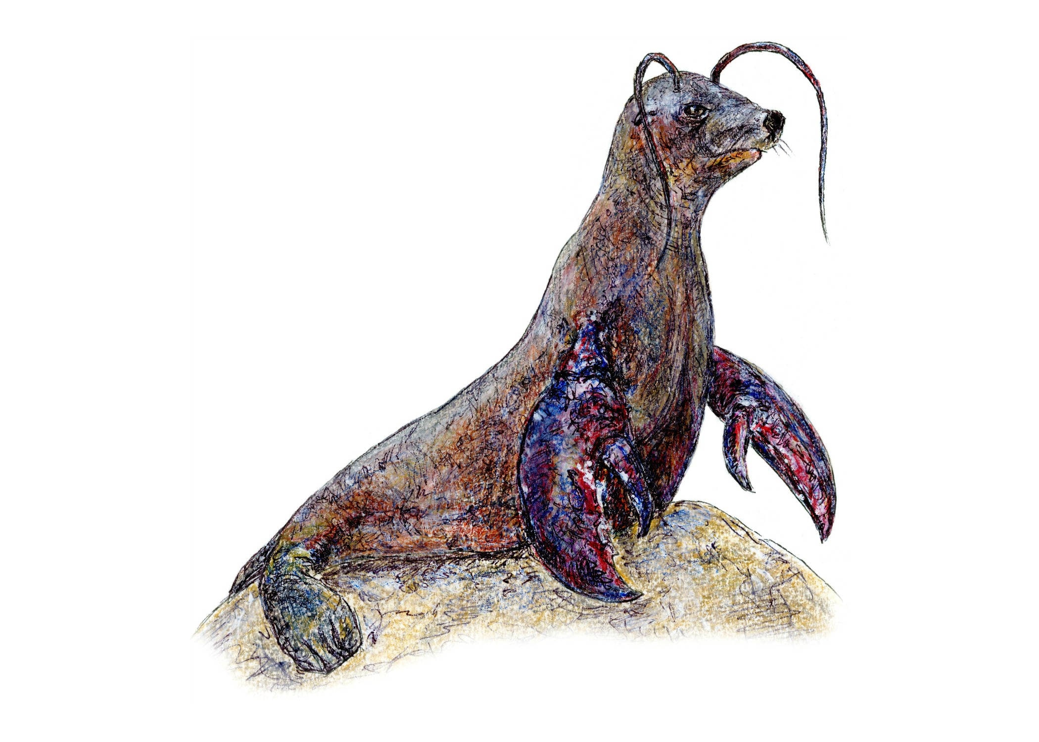 Sobster - Mutant, Fantasy Art, Animal Art, Mythical Creature, Seal ...