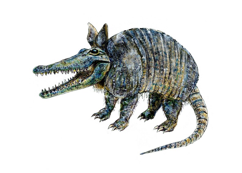 Crocadillo - Mutant, Crocodile, Armadillo, Fantasy Art, Animal Art, Mythical Creature, Hybrid ...