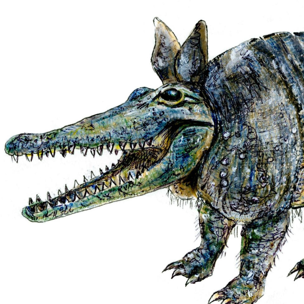Crocadillo mutante, cocodrilo, armadillo, arte de fantasía, arte animal ...