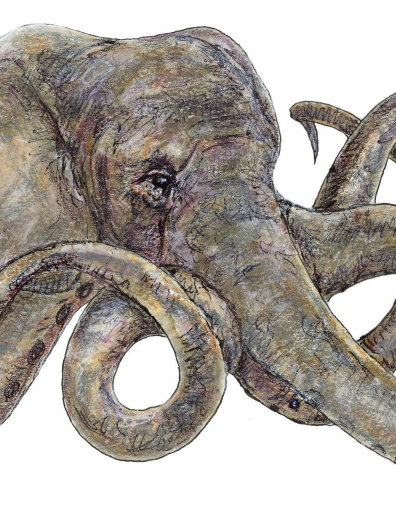 Octophant Mutant, Elephant, Octopus, Sea Creature, Fantasy Art, Animal ...