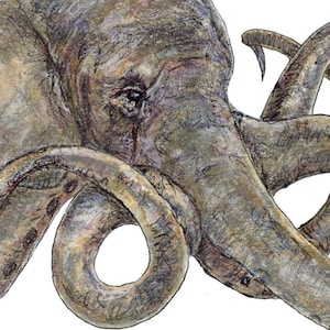 Octophant - Mutant, Elephant, Octopus, Sea Creature, Fantasy Art ...