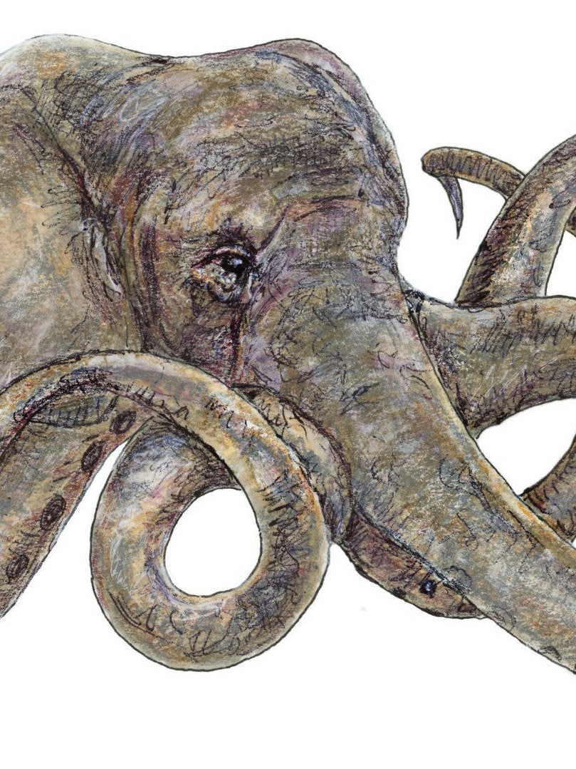 Octophant Mutant, Elephant, Octopus, Sea Creature, Fantasy Art, Animal ...