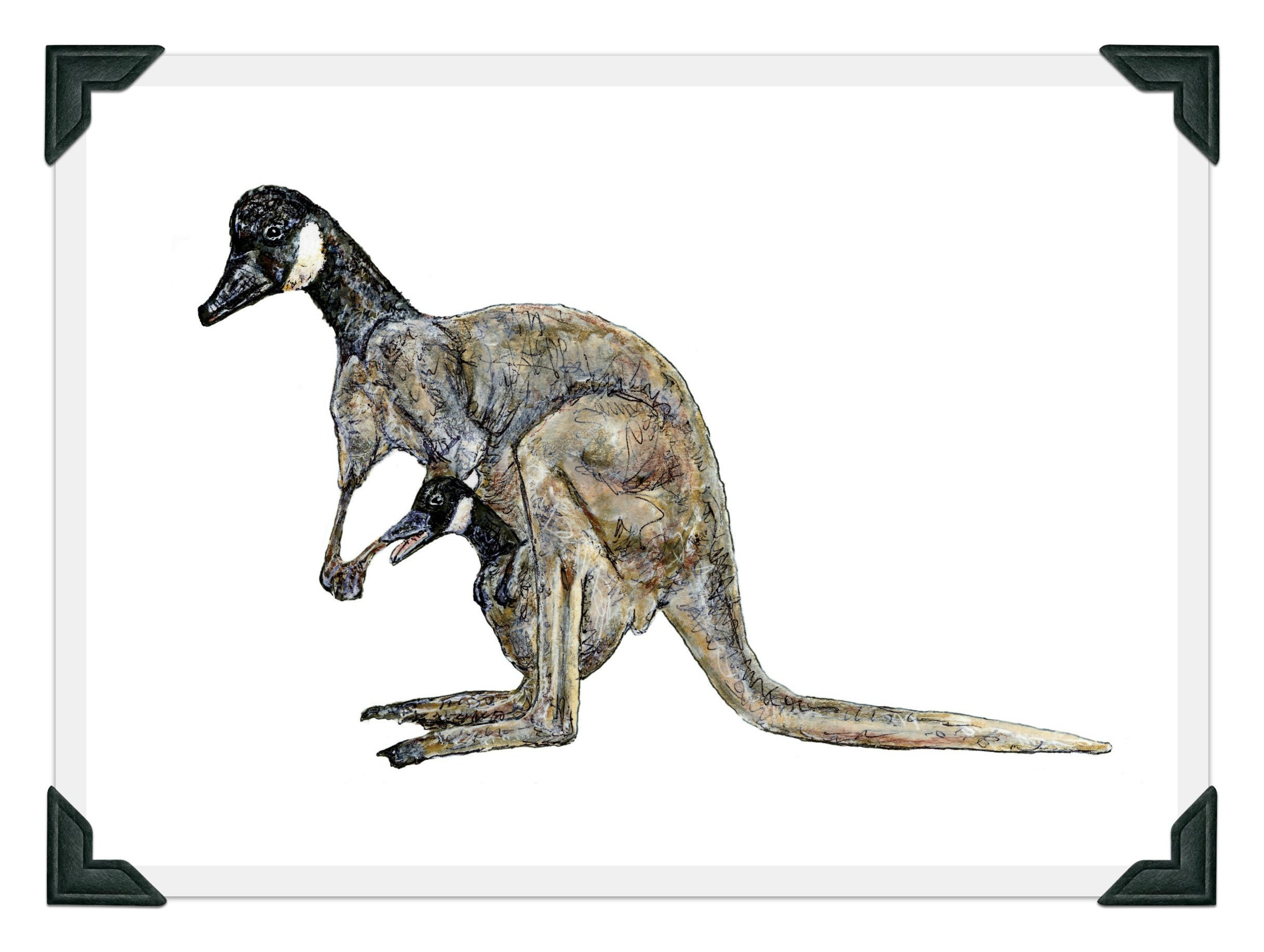 Goosaroo - Mutant, Fantasy Art, Animal Art, Weird Art, Kangaroo, Joey ...