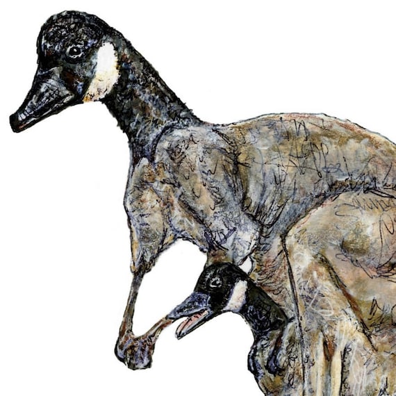 Mutant Animal Drawings