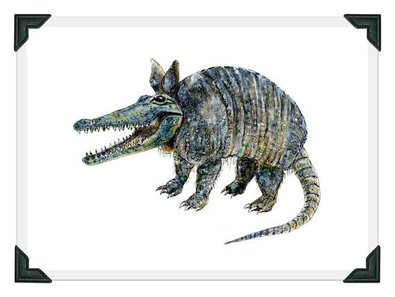 Mutant Animal Drawings