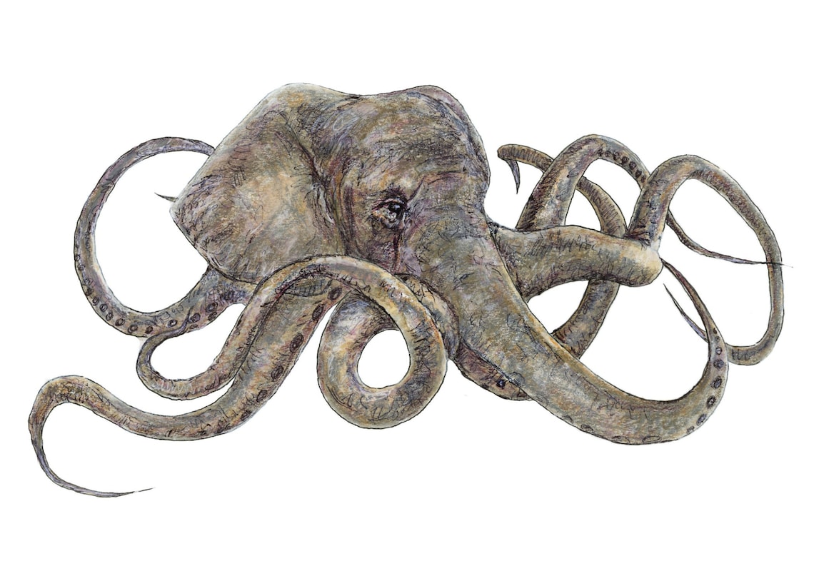 Octophant Mutant, Elephant, Octopus, Sea Creature, Fantasy Art, Animal ...