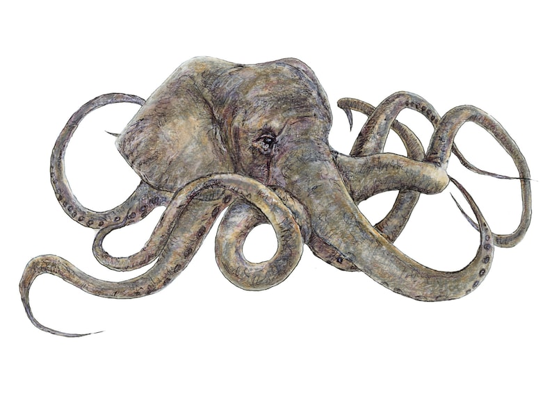 Octophant Mutant, Elephant, Octopus, Sea Creature, Fantasy Art, Animal ...