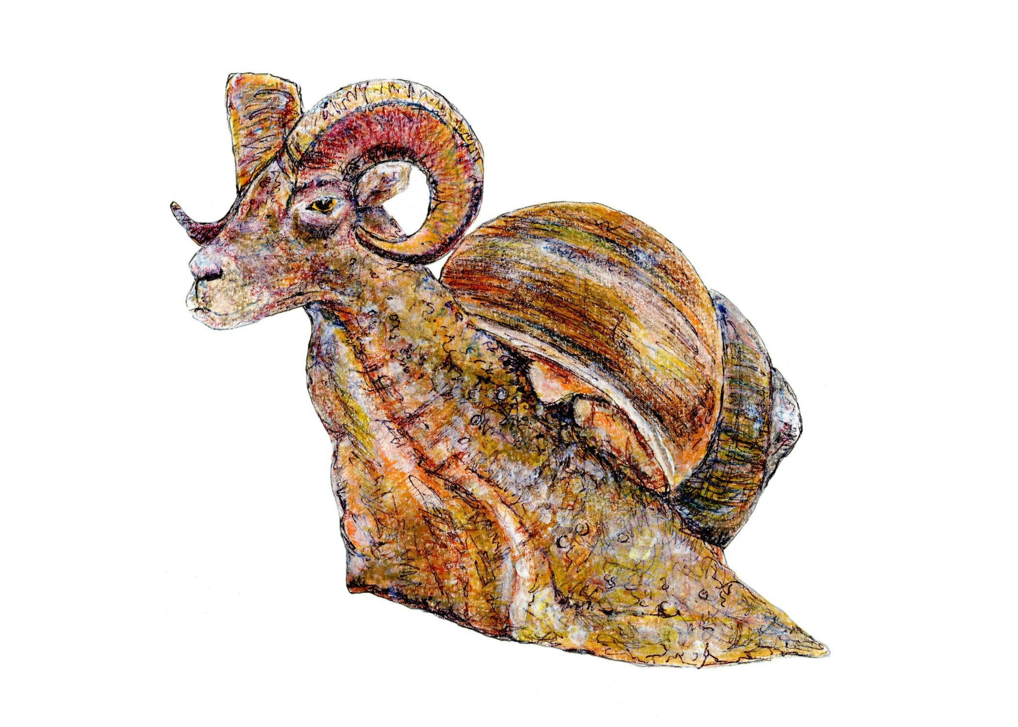Snailam - Mutant, Fantasy Art, Animal Art, Mythical Creature, Snail ...