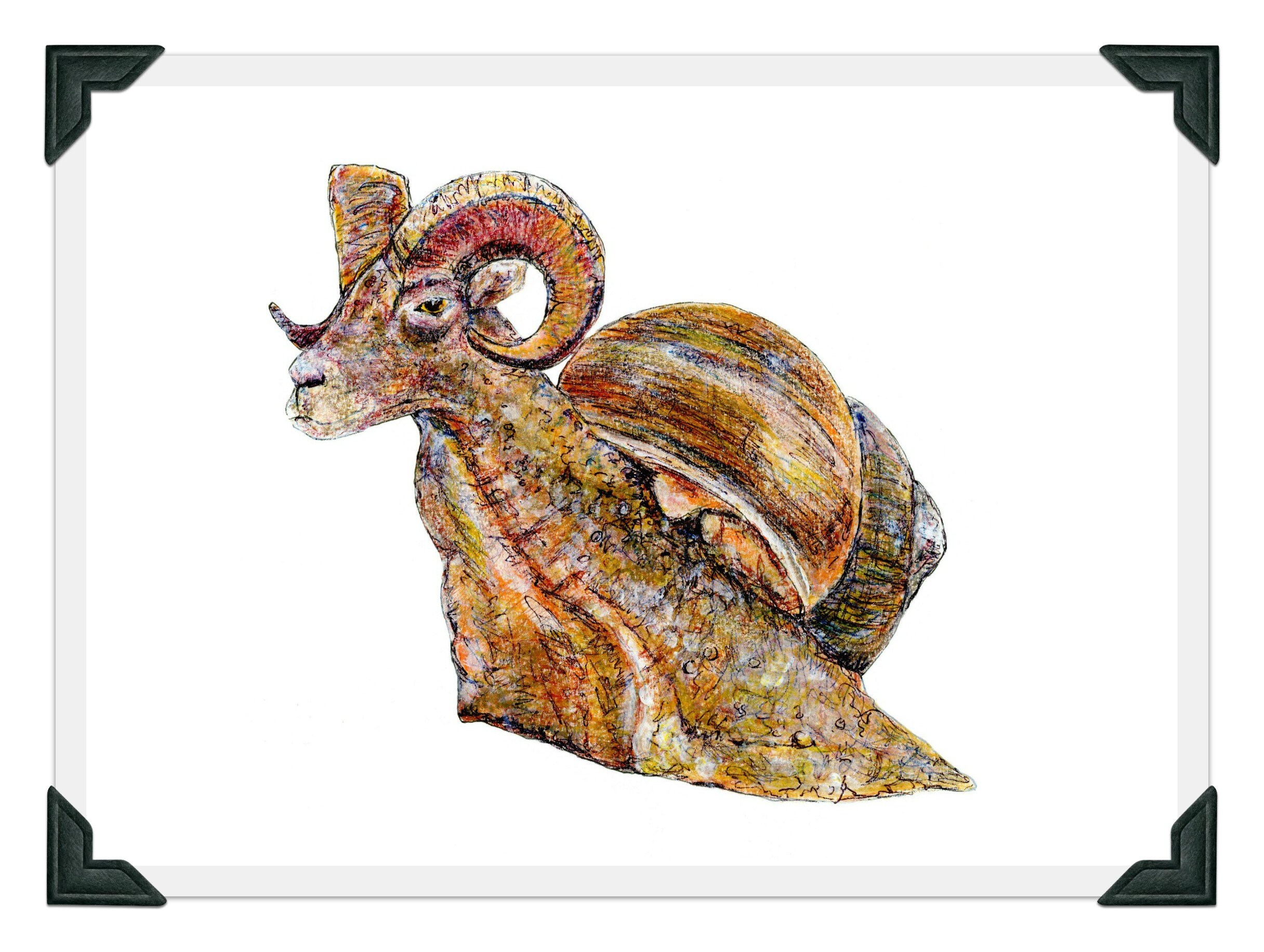 Snailam - Mutant, Fantasy Art, Animal Art, Mythical Creature, Snail ...