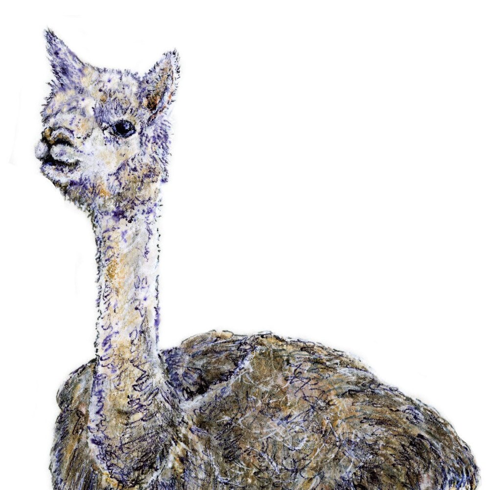 Llastrich - Mutant, Llama, Ostrich, Alpaca, Fantasy Art, Animal Art ...