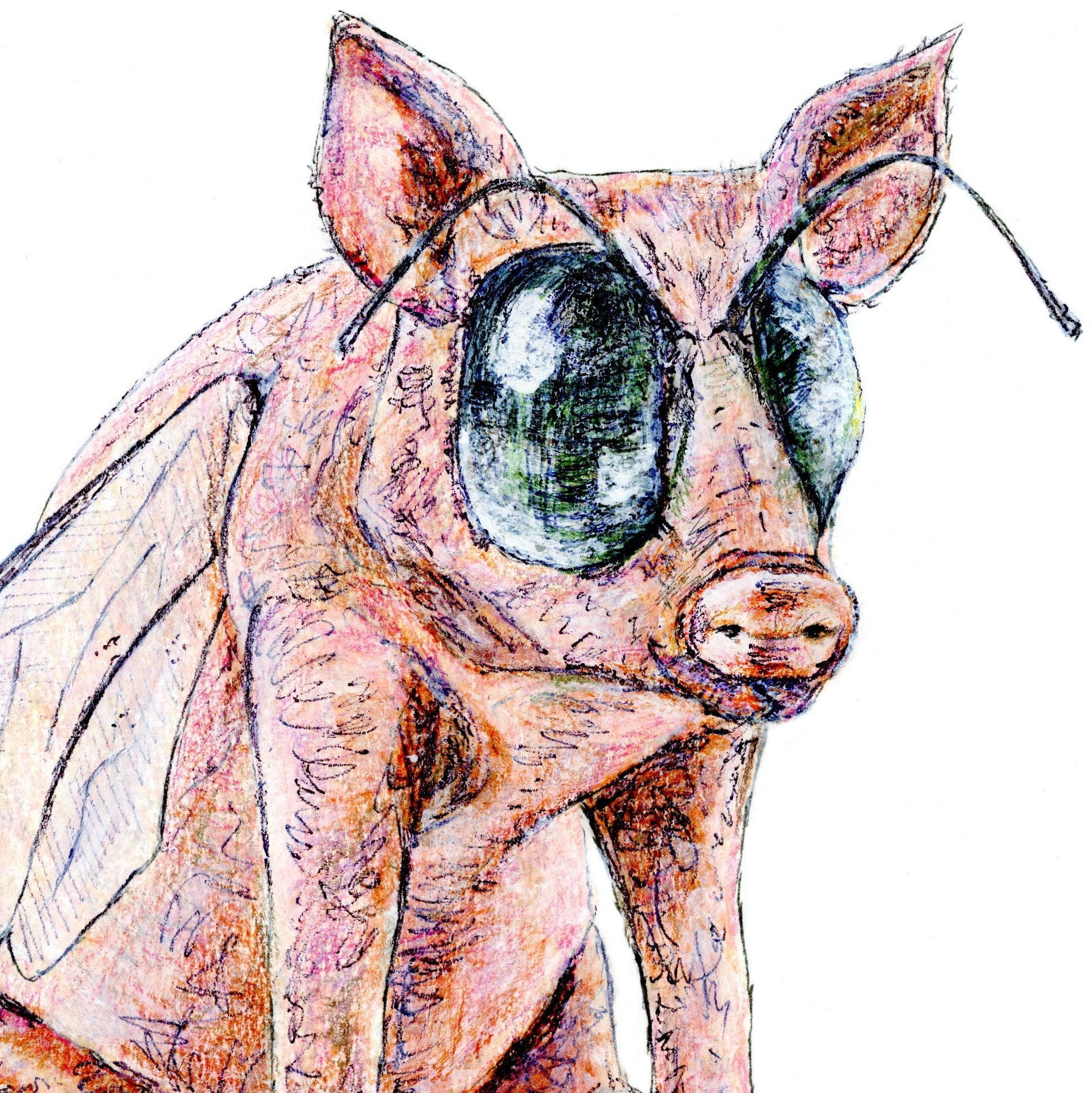 Ply - Mutant, Pig, Fly, Insect Art, Fantasy Art, Animal Art, Hybrid ...
