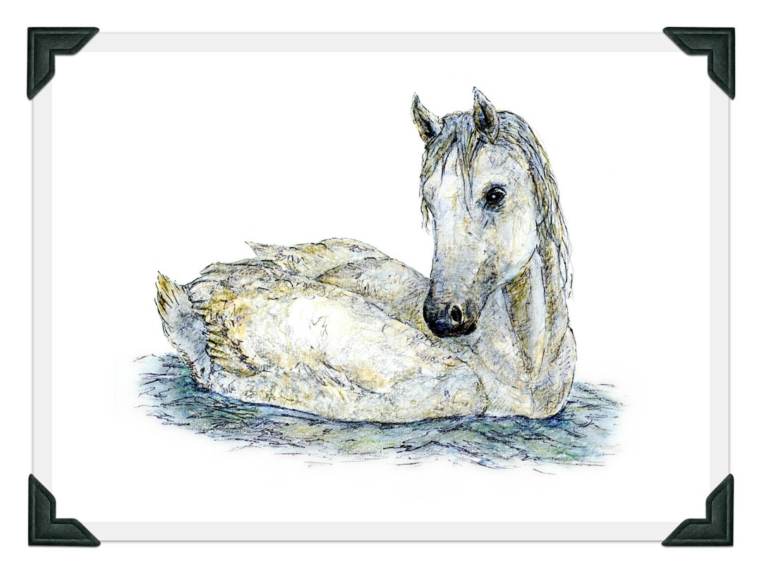 Swarsie - Mutant, Swan, Horse, Fantasy Art, Animal Art, Mythical ...