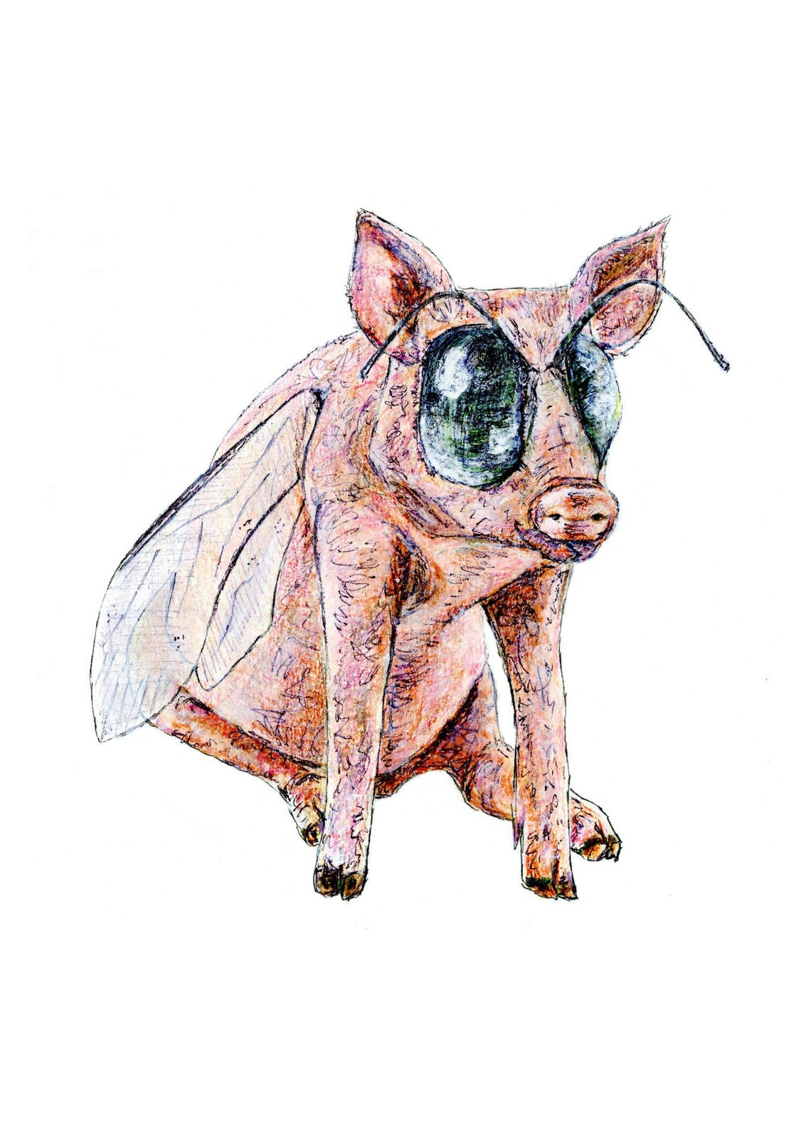 Ply - Mutant, Pig, Fly, Insect Art, Fantasy Art, Animal Art, Hybrid ...