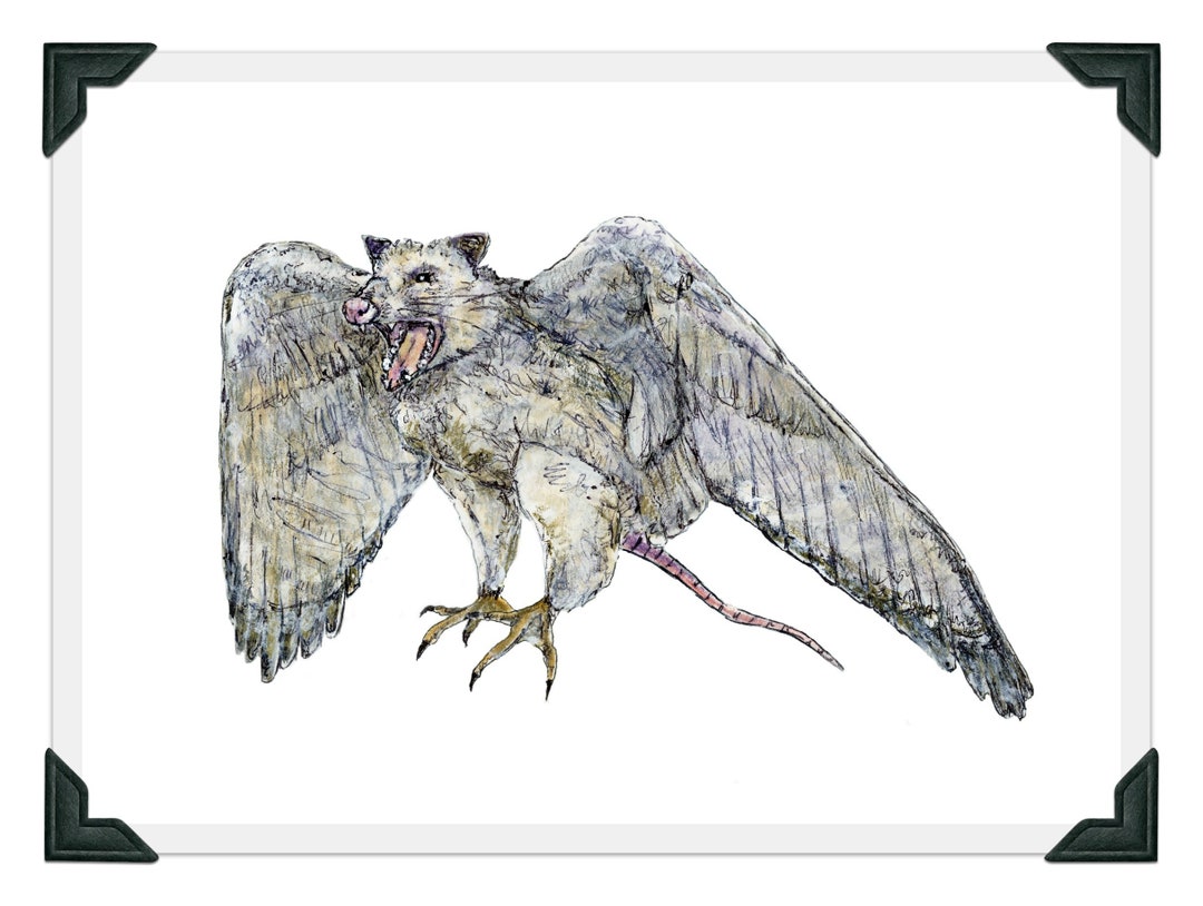 Polcon Mutant, Fantasy Art, Animal Art, Mythical Creature, Possum ...