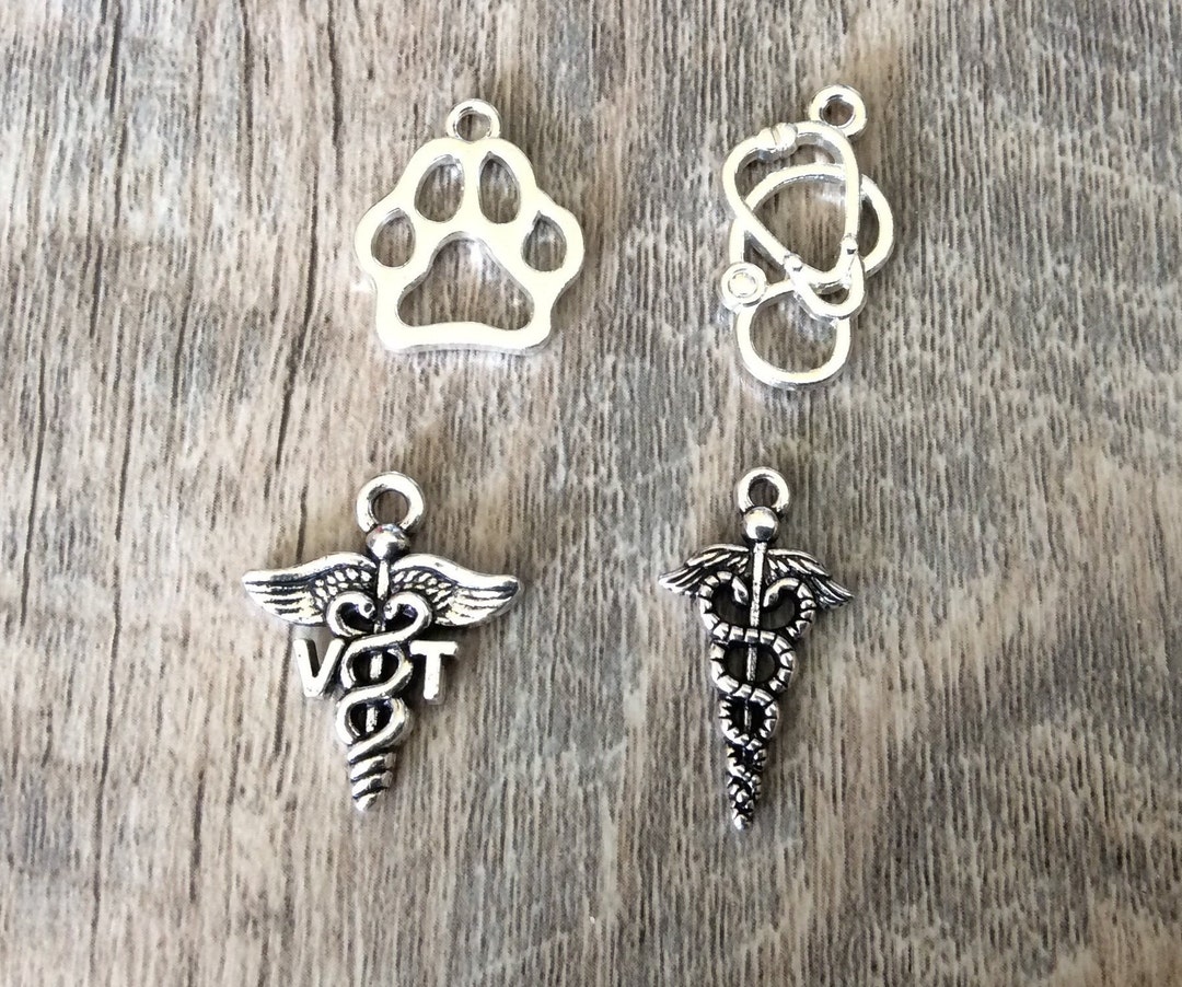 Veterinary Charms, Vet Tech Charms, Silvertone, for Bracelet, Necklace ...