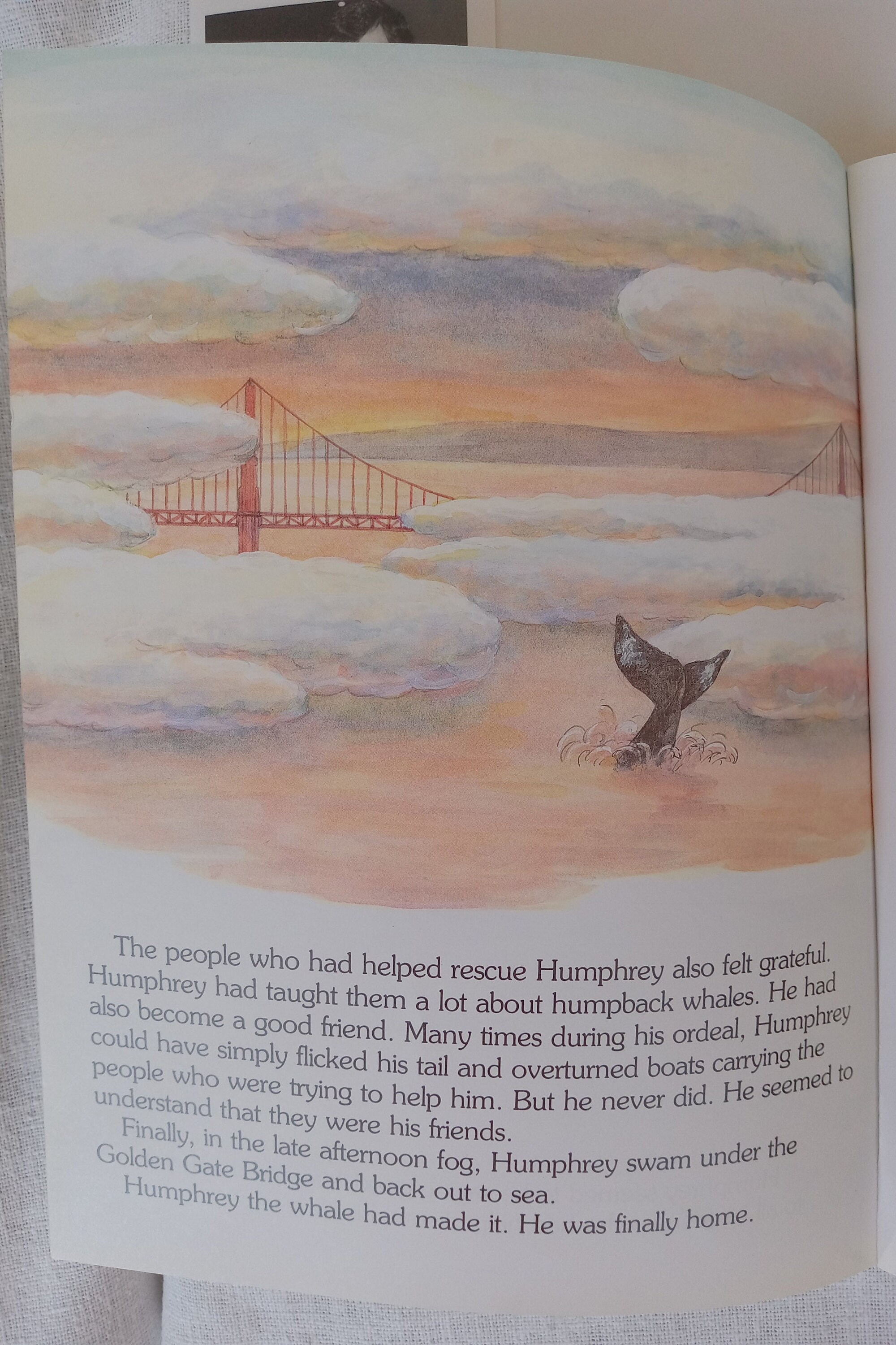 Humphrey the Lost Whale A True Story/wendy Tokuda & Richard - Etsy