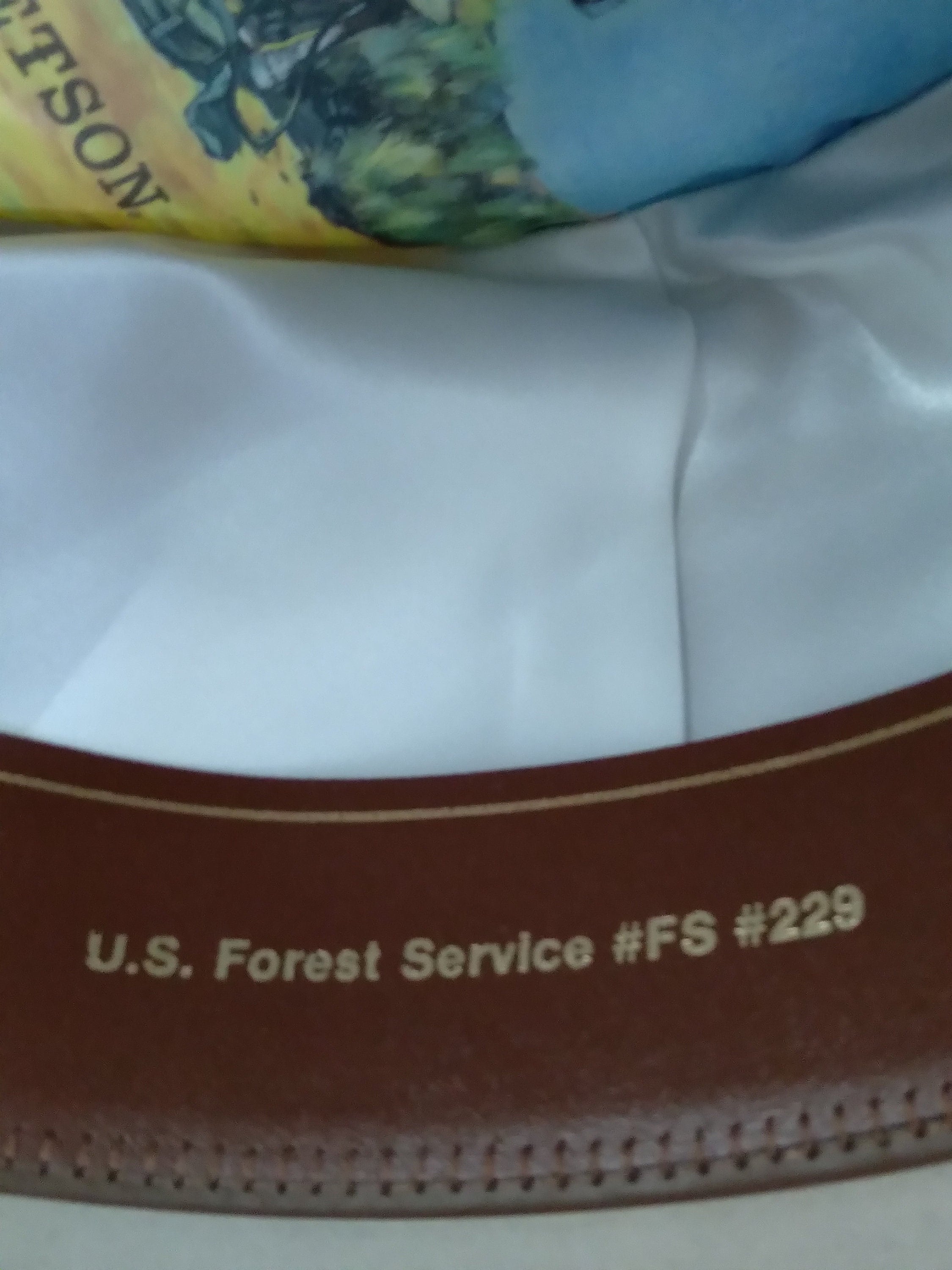 Stetson Hat/authentic U.S. Forest Service/ FS 229/size 7 | Etsy