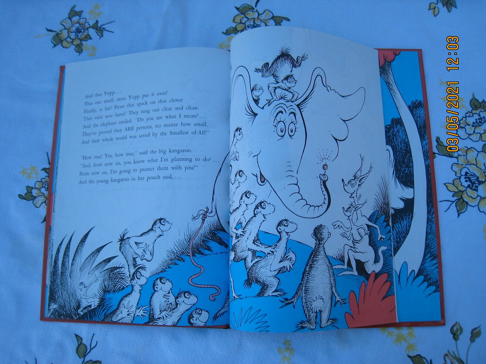 Horton Hears A Who Book Pages