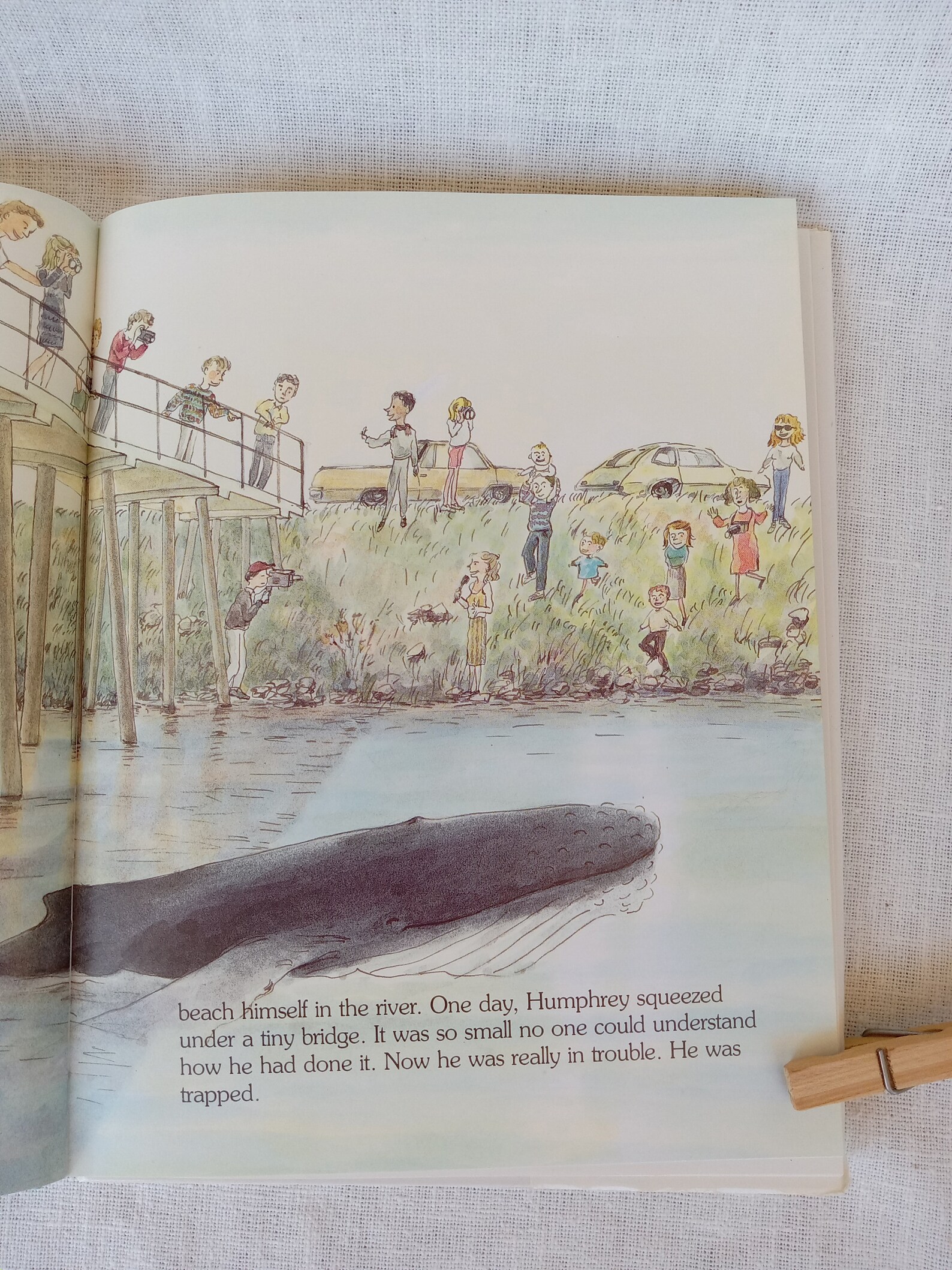 Humphrey the Lost Whale A True Story/wendy Tokuda & Richard - Etsy