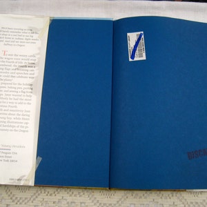 A Fourth of July on the Plains/jean Van Leeuwen/oregon Trail 1852 ...