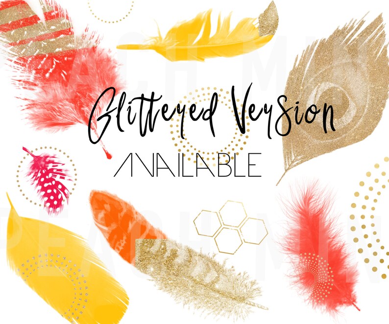 Elegante pluma Clip Arts Plumas digitales Plumas brillo Clip Art Diseño ...