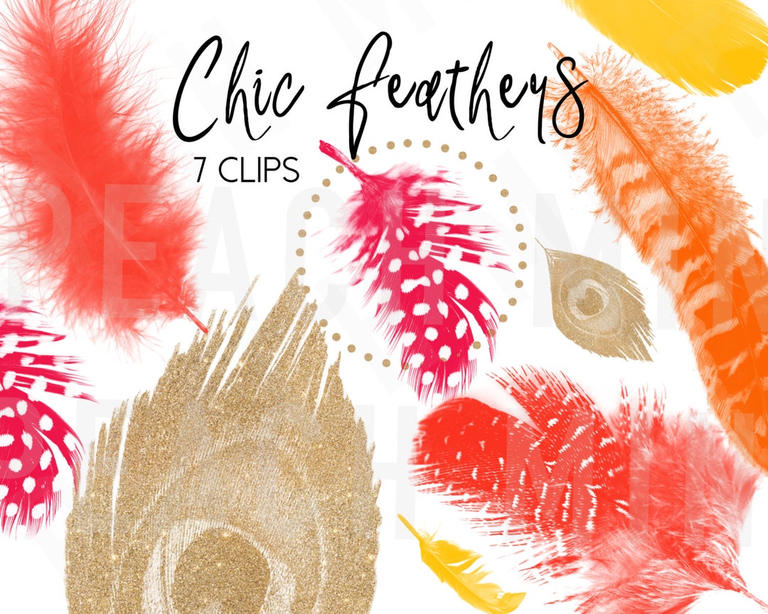 Chic Feather Clip Arts | Digital Feathers | Glitter Feather Clip Art ...