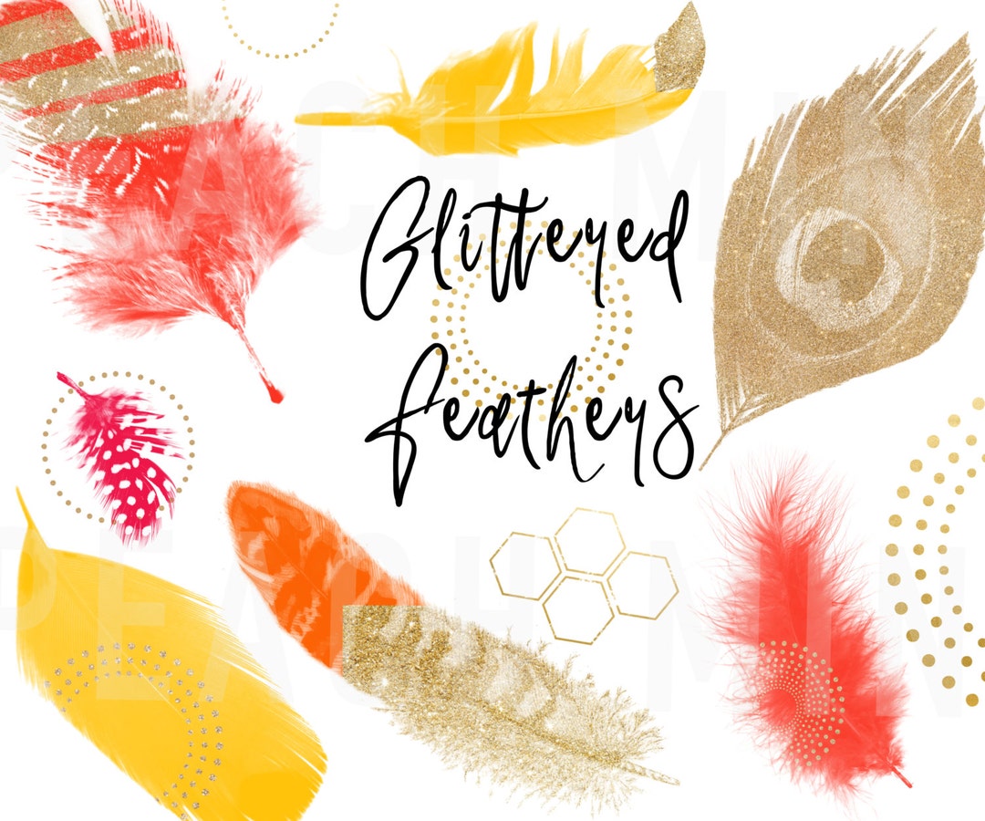 Chic Feather Clip Art | Digital Feathers | Glitter Feather Clip Art ...