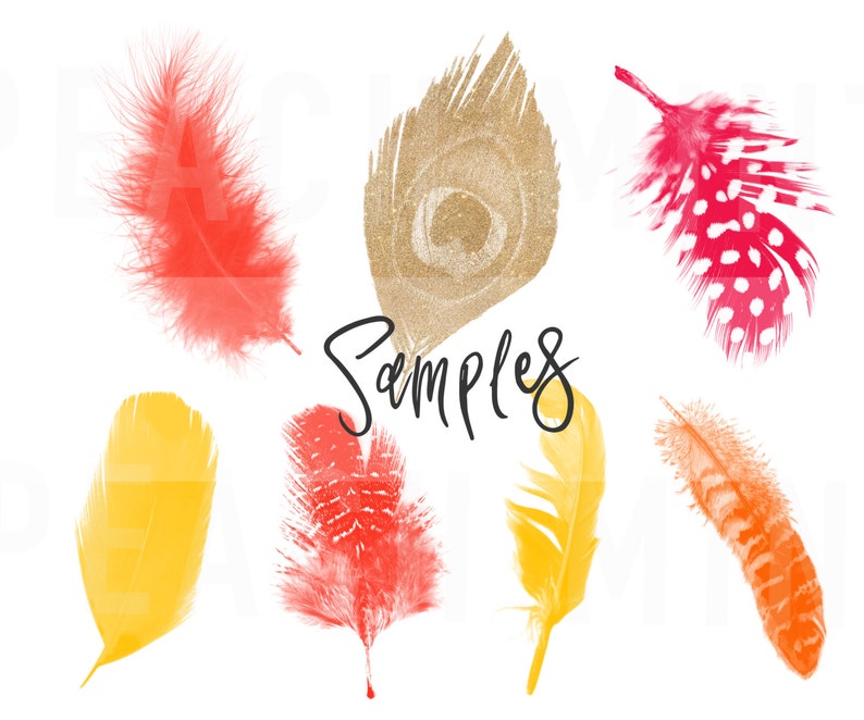 Elegante pluma Clip Arts Plumas digitales Plumas brillo Clip Art Diseño ...