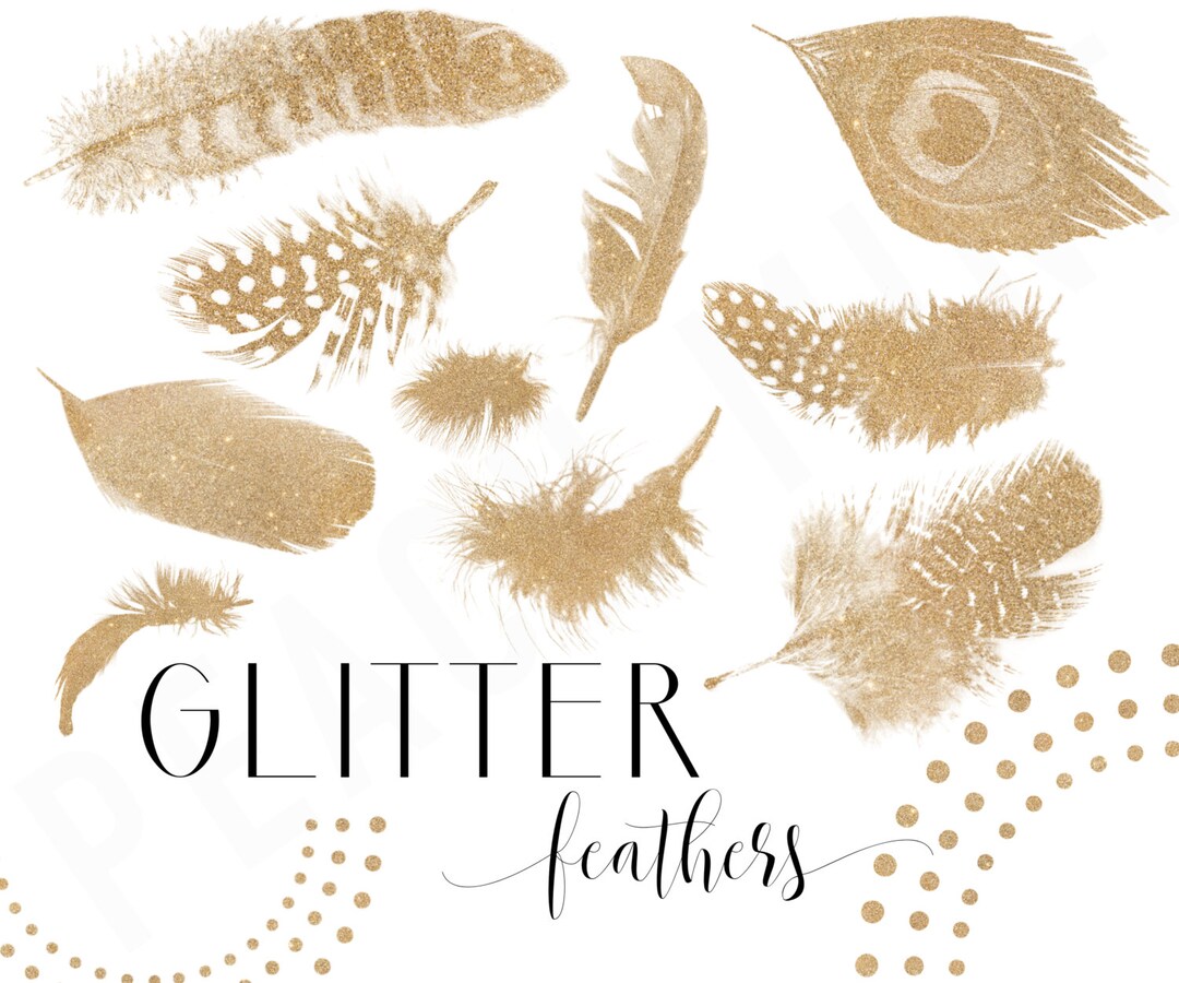 10 Glitter Feather Clip Arts | Digital Feathers | Graphic Design | Clip ...
