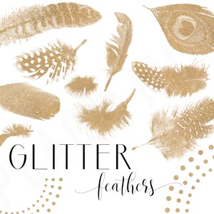 10 Glitter Feather Clip Arts | Digital Feathers | Graphic Design | Clip ...